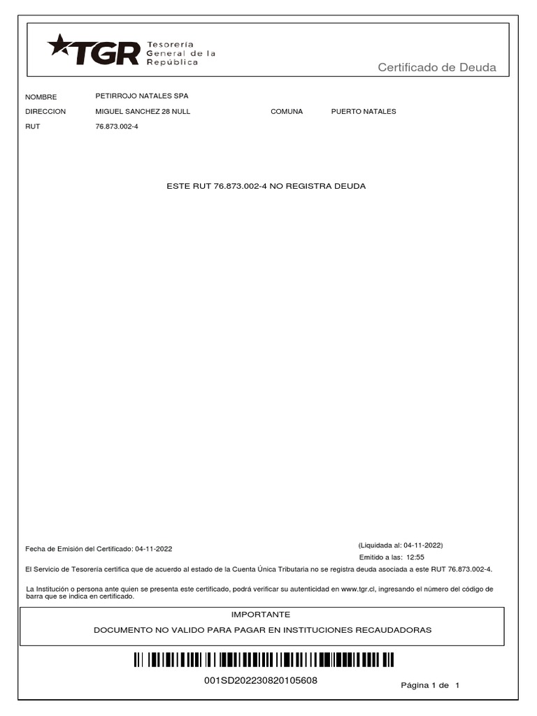 Certificado Deuda TGR | PDF