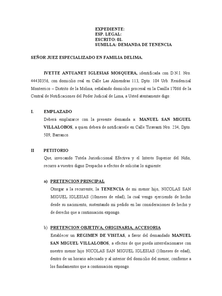 Tenencia Ivette | PDF | Demanda judicial | El embarazo