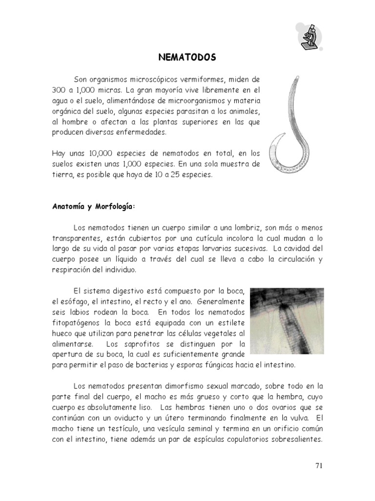 15 Nematodos | Descargar gratis PDF | Nematodo | Patologia de planta