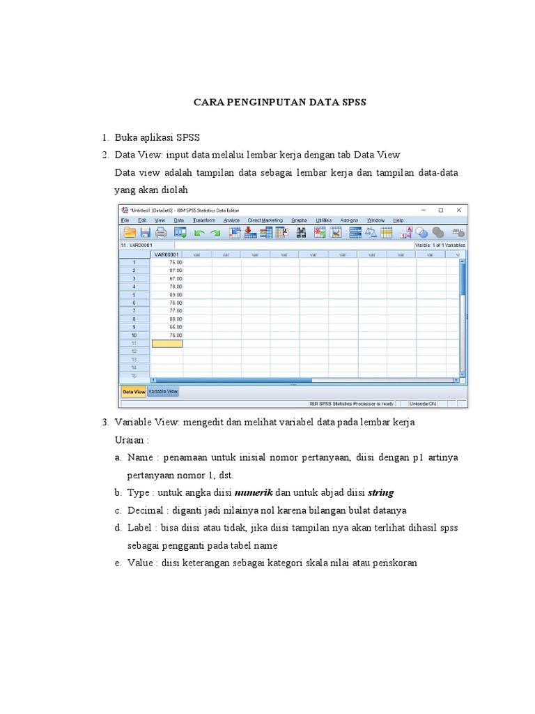 Cara Pengolahan Data SPSS | PDF