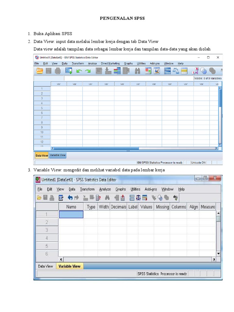 Pengenalan SPSS | PDF
