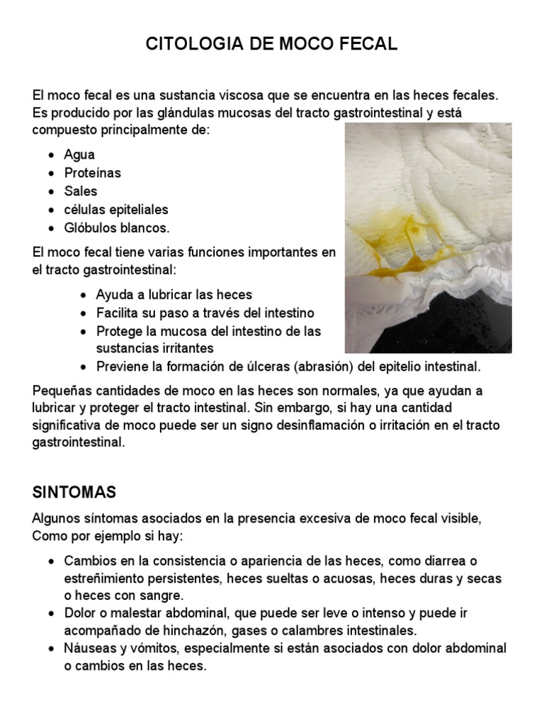 Citologia de Moco Fecal Final | PDF | Heces | Diarrea