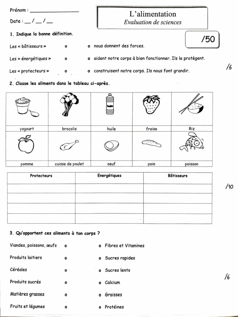 Évaluation Alimentation | PDF
