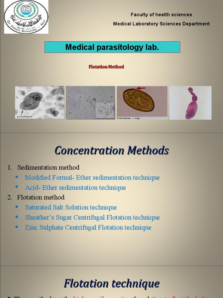 Flotation Lab | PDF | Chemistry