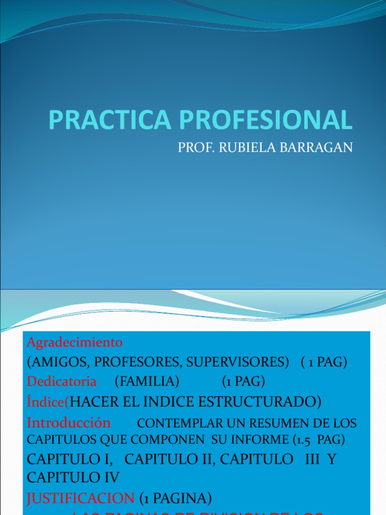 Aspectos A Considerar para Desarrollar El Informe | PDF