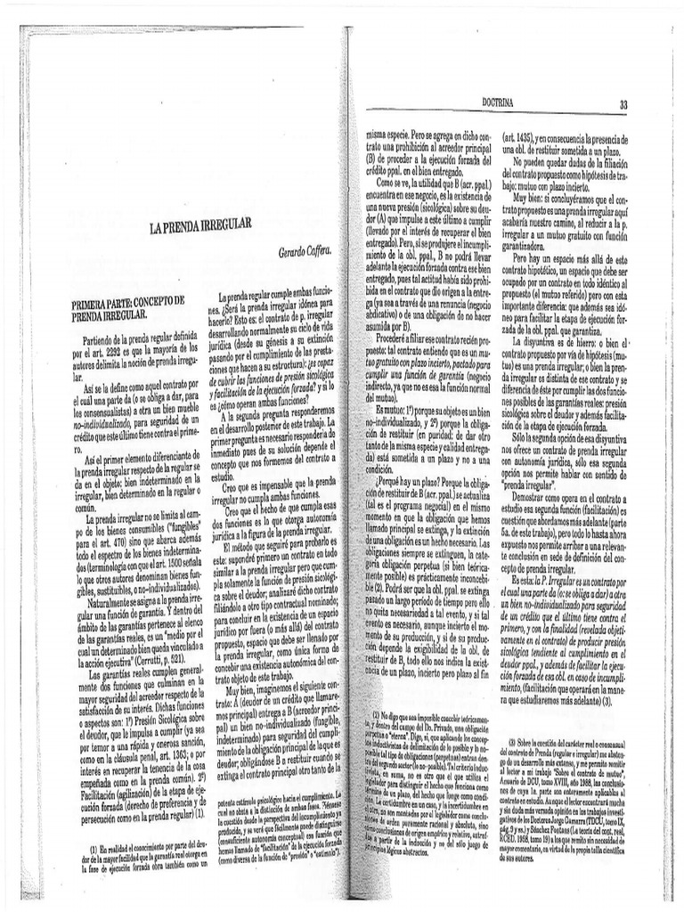 Caffera Prenda Irregular | PDF | Propiedad | Ley común