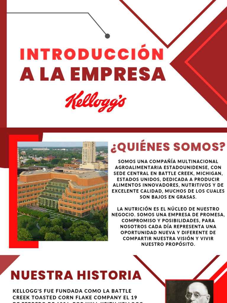 2023 Diapositivas de Kellogg's | PDF