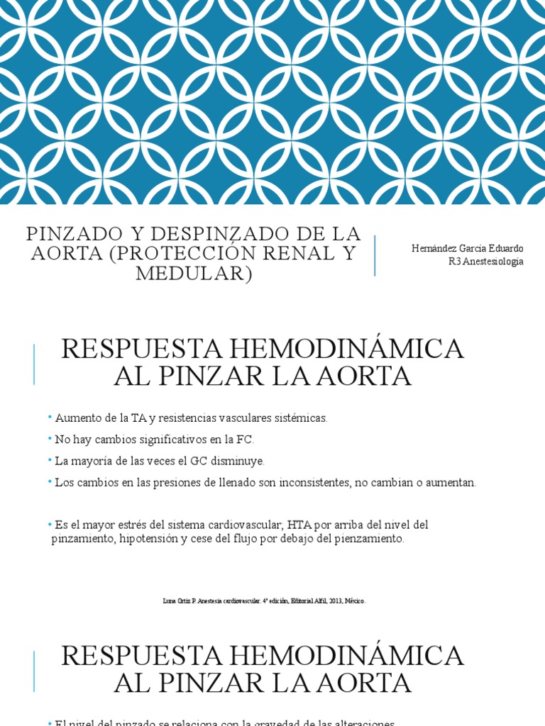 Protección Renal y Medular | PDF | Isquemia | Anestesia