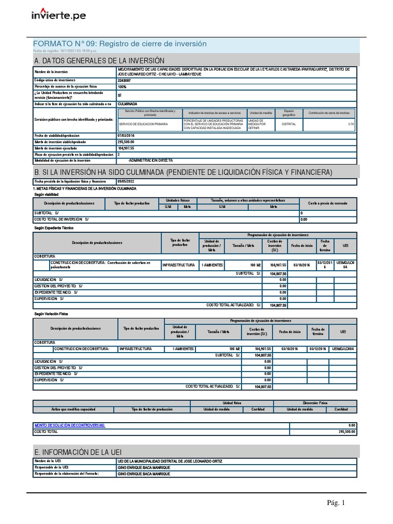 Formato 9 - Invierte .Pe | PDF