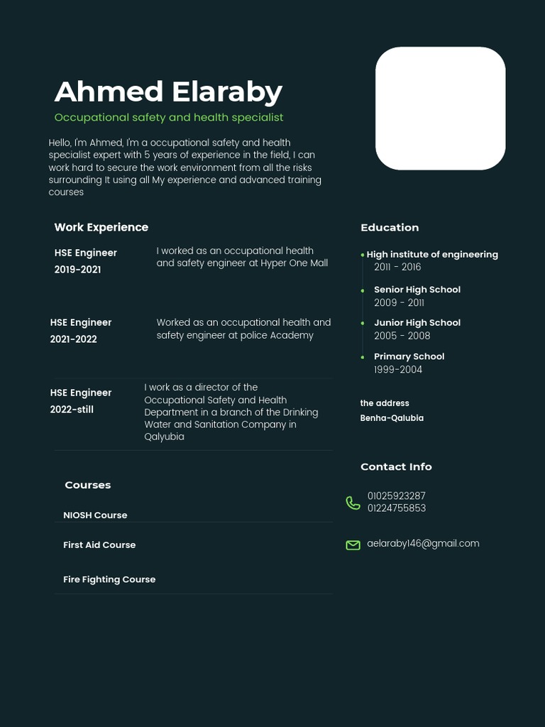 Green Modern Bold Software Developer Resume | PDF