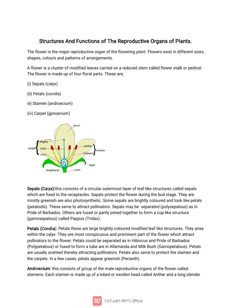 Reproductive System in Plants SS2 | PDF | Flowers | Petal