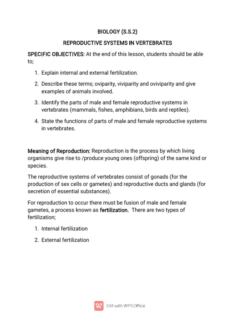 Reproductive Systems in Vertebrates | PDF | Reproductive System ...