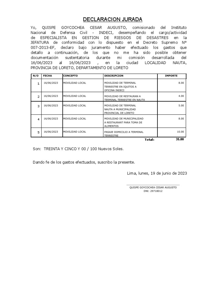Imprime Decla Jurada | PDF | Finanzas y dinero | Hogar, jardinería y bricolaje