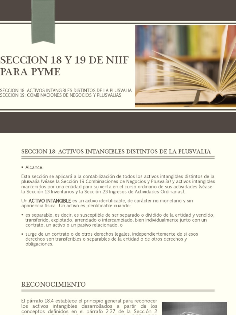 Seccion 18 y 19 de Niif para Pyme | PDF