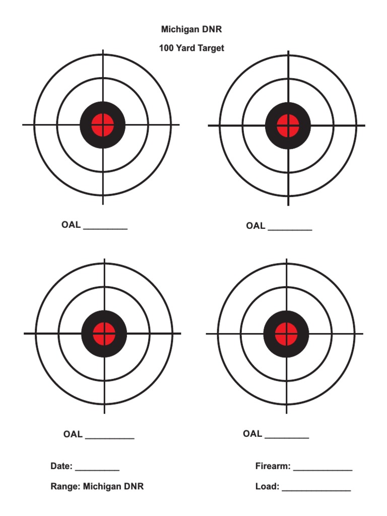 Michigan DNR 100 Yard Target Sheet | PDF