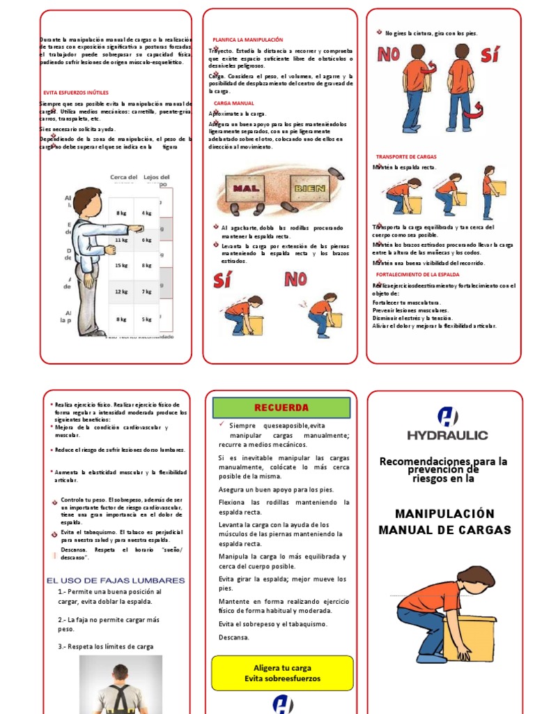 Triptico Carga Manual | PDF