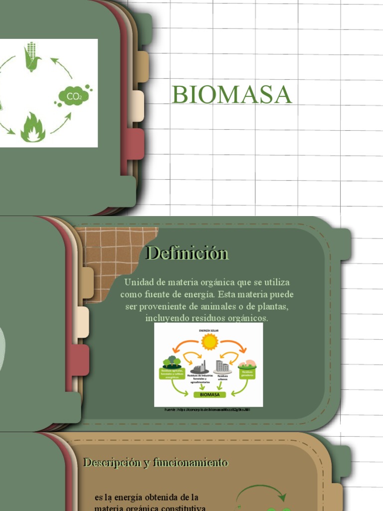 BIOMASA | PDF