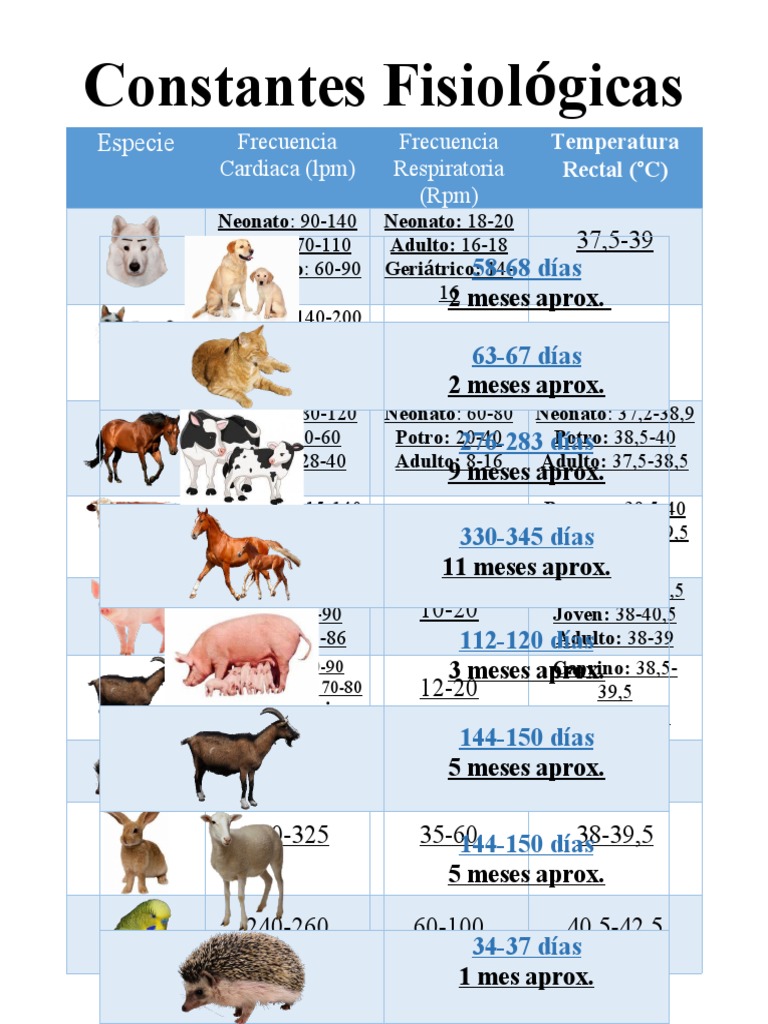 Constantes Fisiológicas | PDF