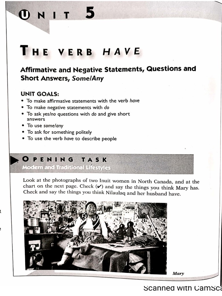 Ch. 5 The Verb Have | PDF