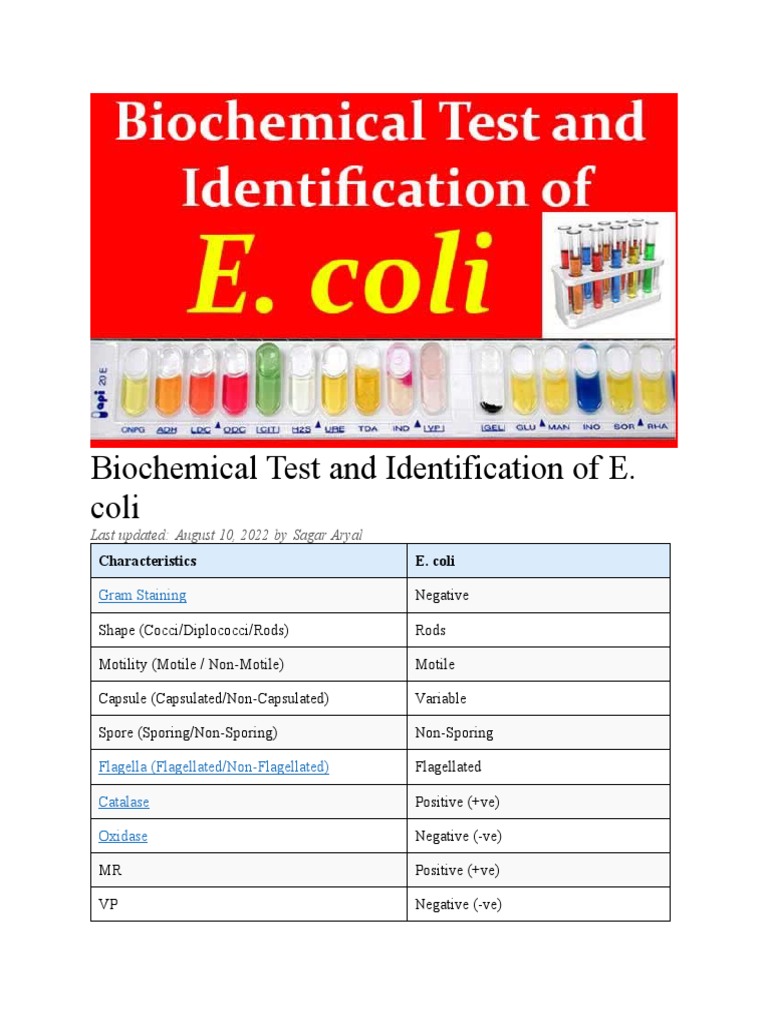 Biochemical Test and Identification of E.coli | PDF | Escherichia Coli