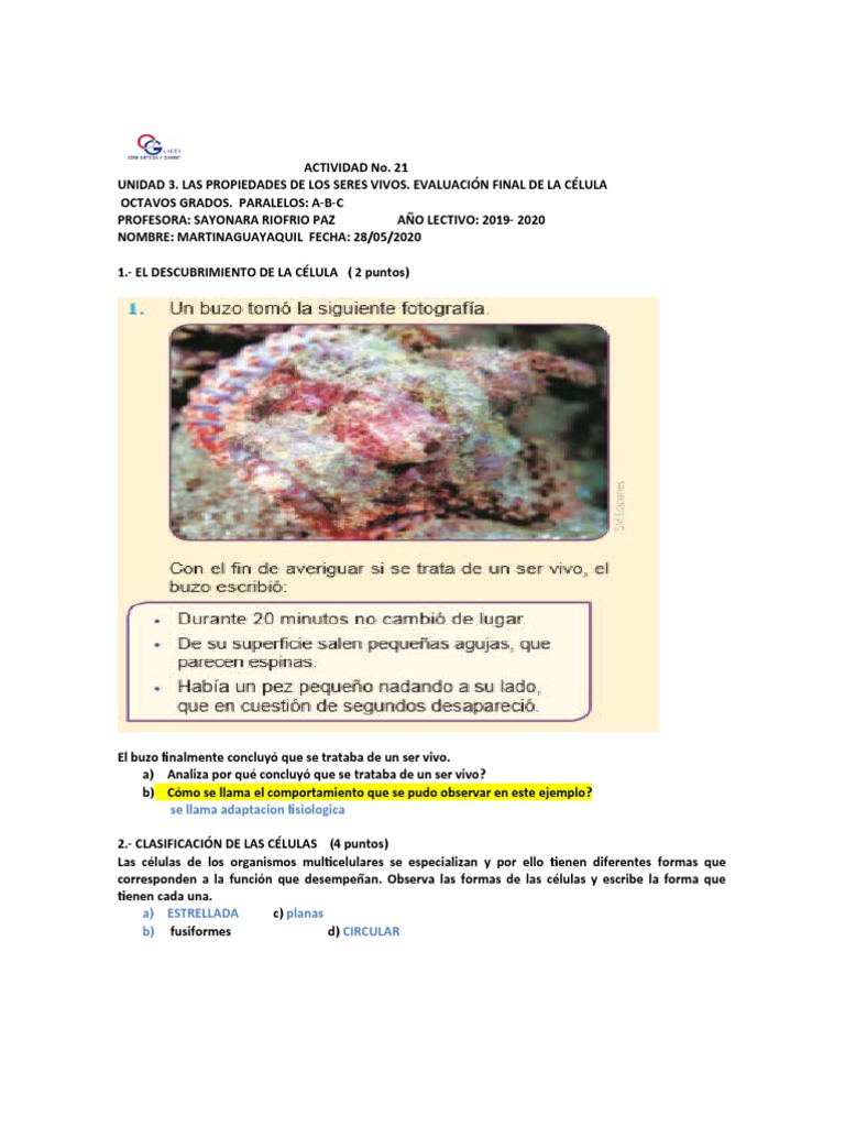 Evaluación Final de la Célula 6to Grado | PDF