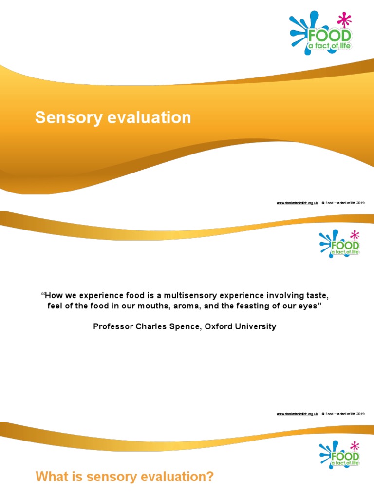 Sensory Evaluation for Food Experts | PDF | Taste | Senses