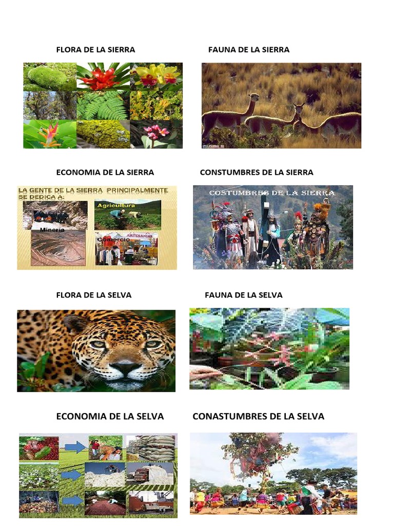 Flora de La Sierra Fauna de La Sierra | PDF