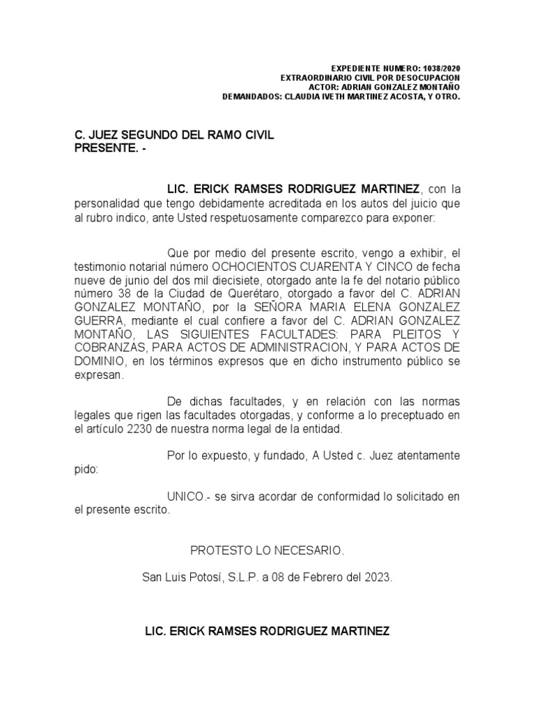 Testimonio Notarial en Juicio Civil 1038/2020 | PDF
