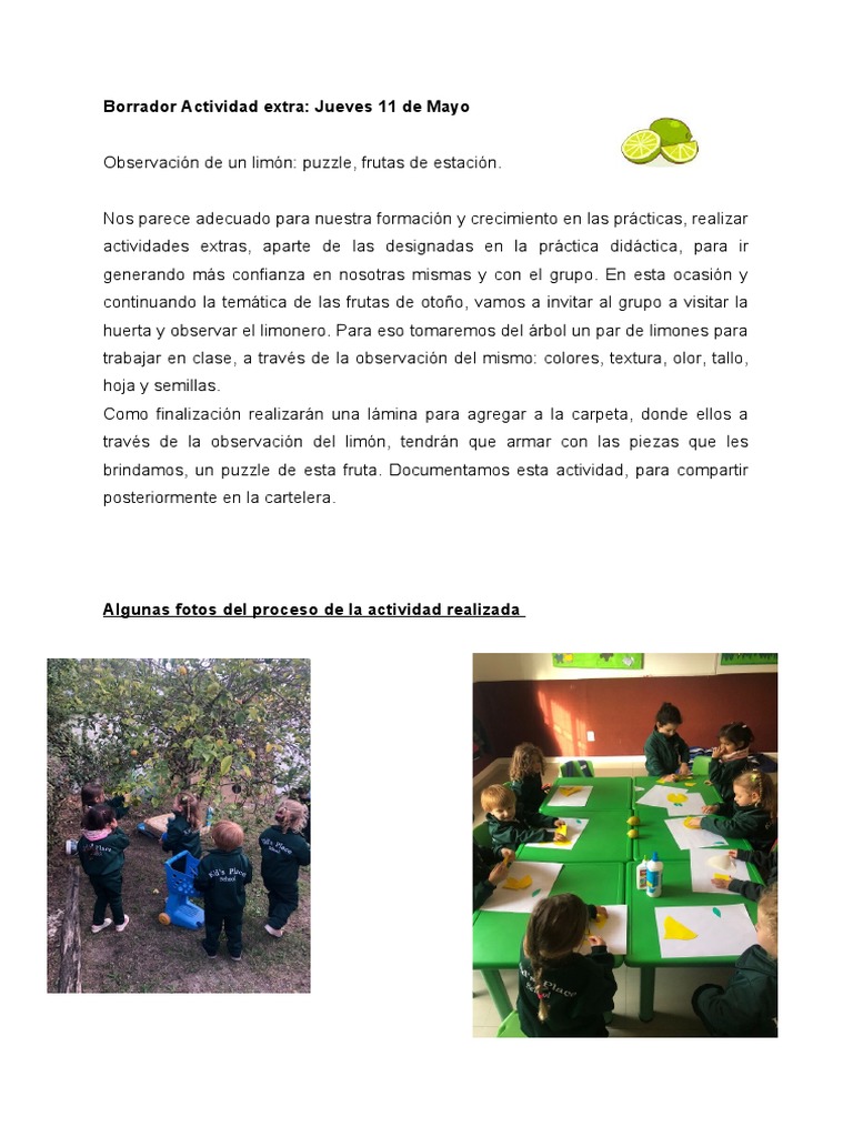 Actividad Extra (1) LIMON | PDF