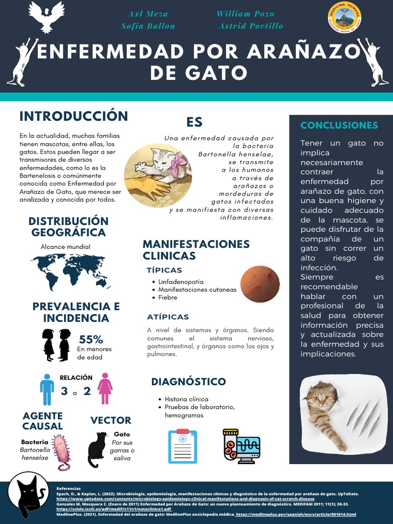 Enfermedad Por Arañazo de Gato | PDF