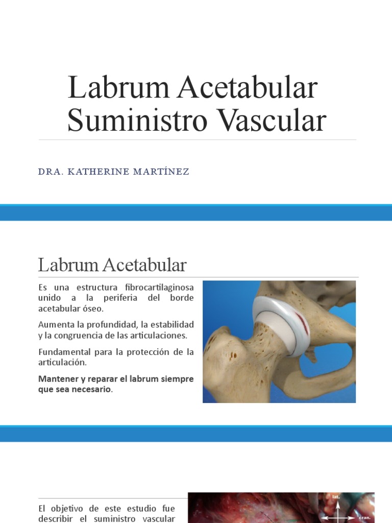 Labrum Acetabular | PDF