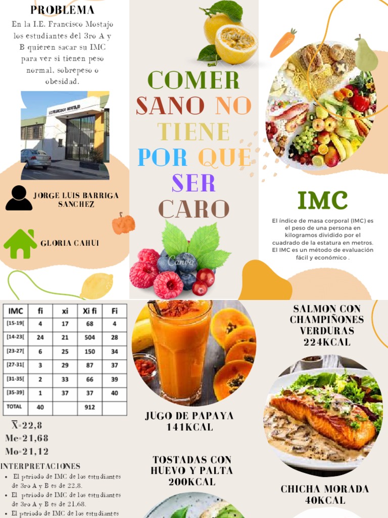 Folleto Tríptico Comida Saludable Orgánico Natural Naranja y Verde | PDF