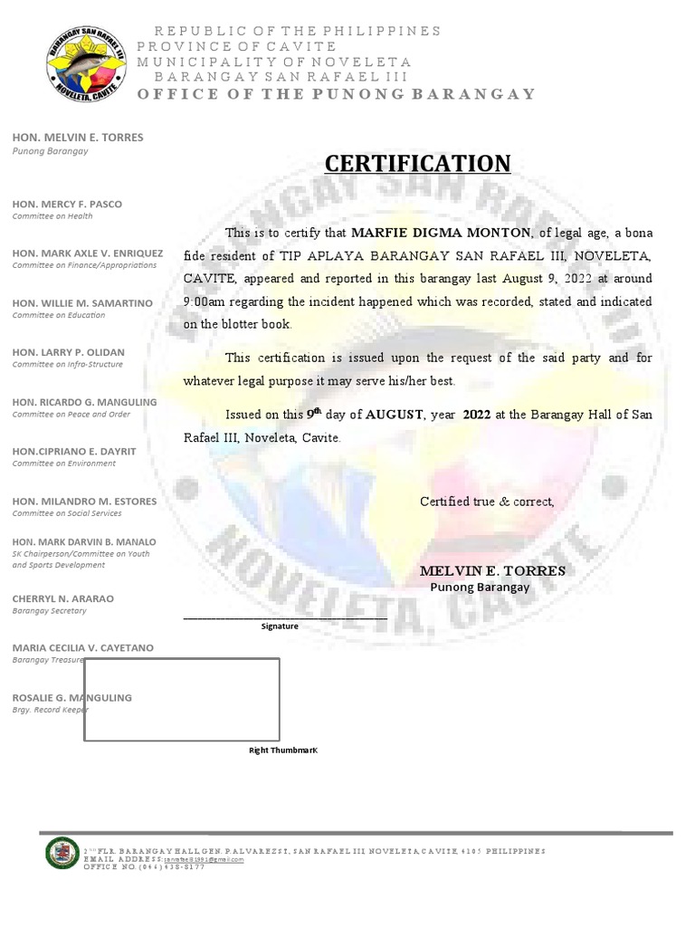 Cert Incident Report Dagat | PDF