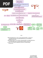 GPG Final 2562 Compressed | PDF