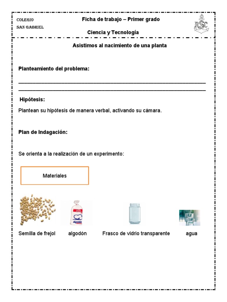 FICHA Del Experimento Corregida de La Planta | PDF