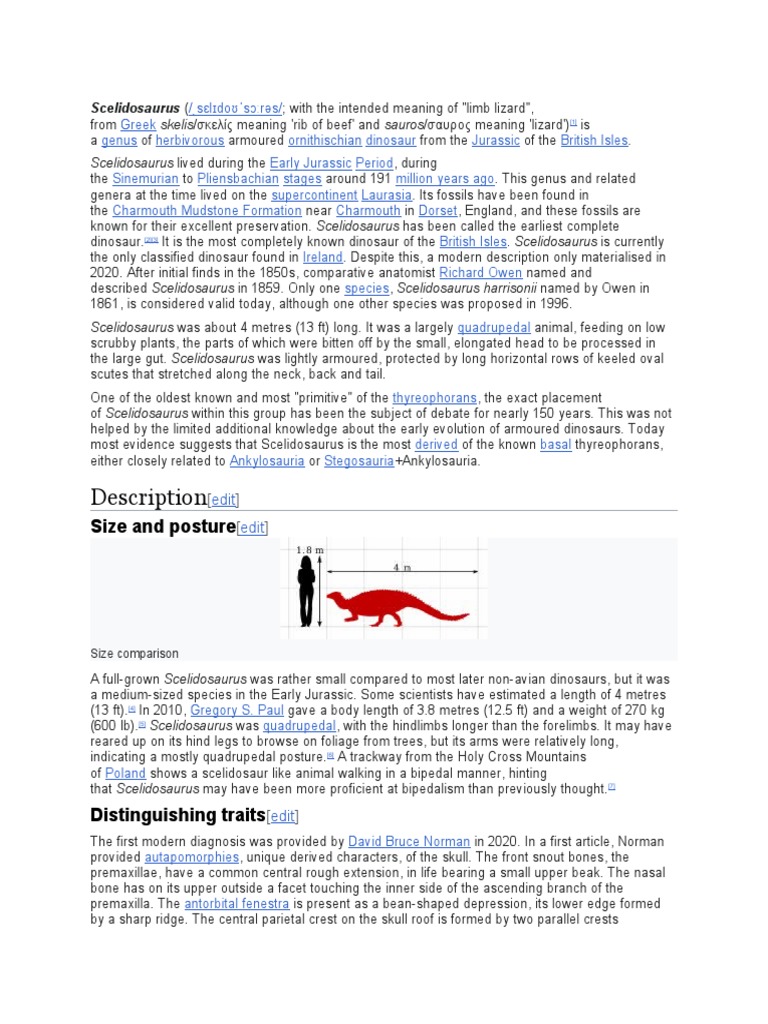 Scelidosaurus | PDF | Social Science