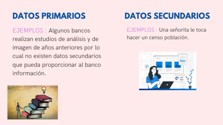 Datos Primarios | PDF
