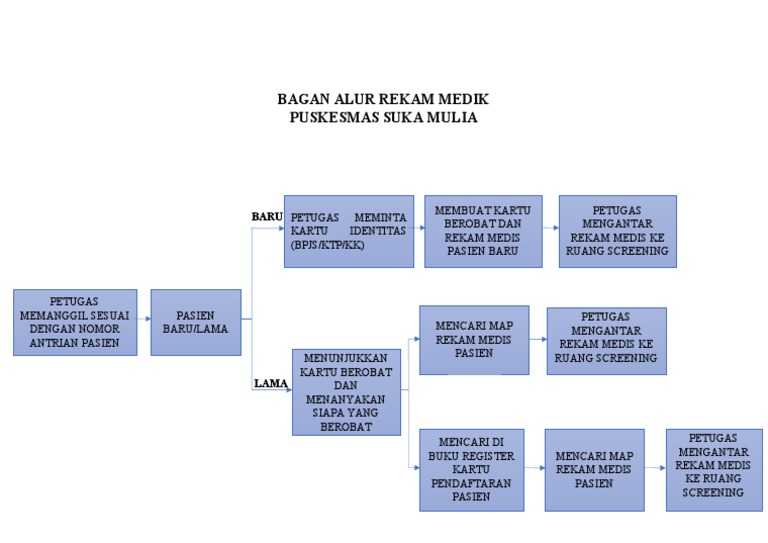 BAGAN ALUR REKAM MEDIK | PDF