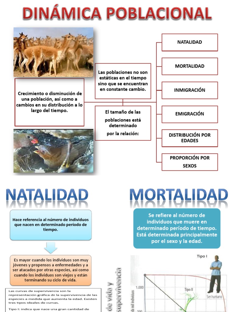 Dinámica Poblacional | PDF | Población | Reproducción