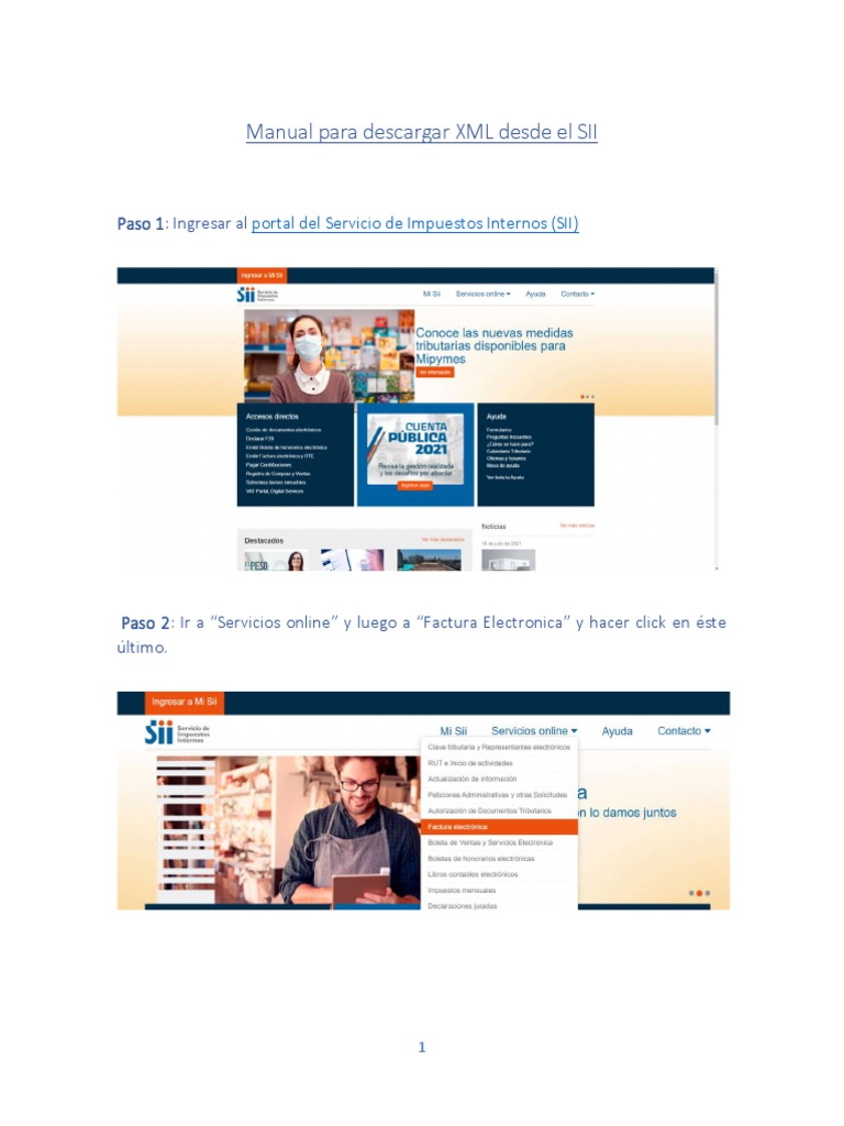 Manual Descarga XML A Traves Del Sii | PDF