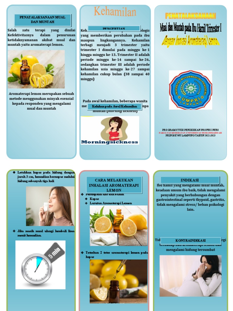 Leafleat Inhalasi Aromaterapi Lemon | PDF
