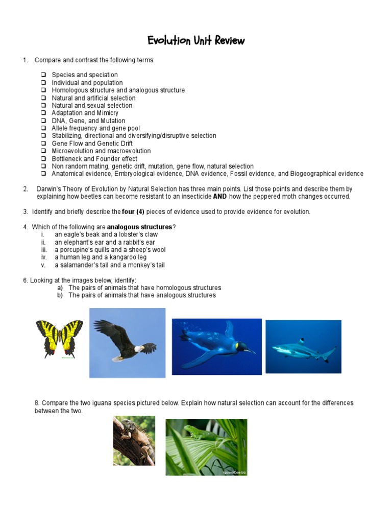 Evolution Unit Review Guide | PDF | Natural Selection | Evolution