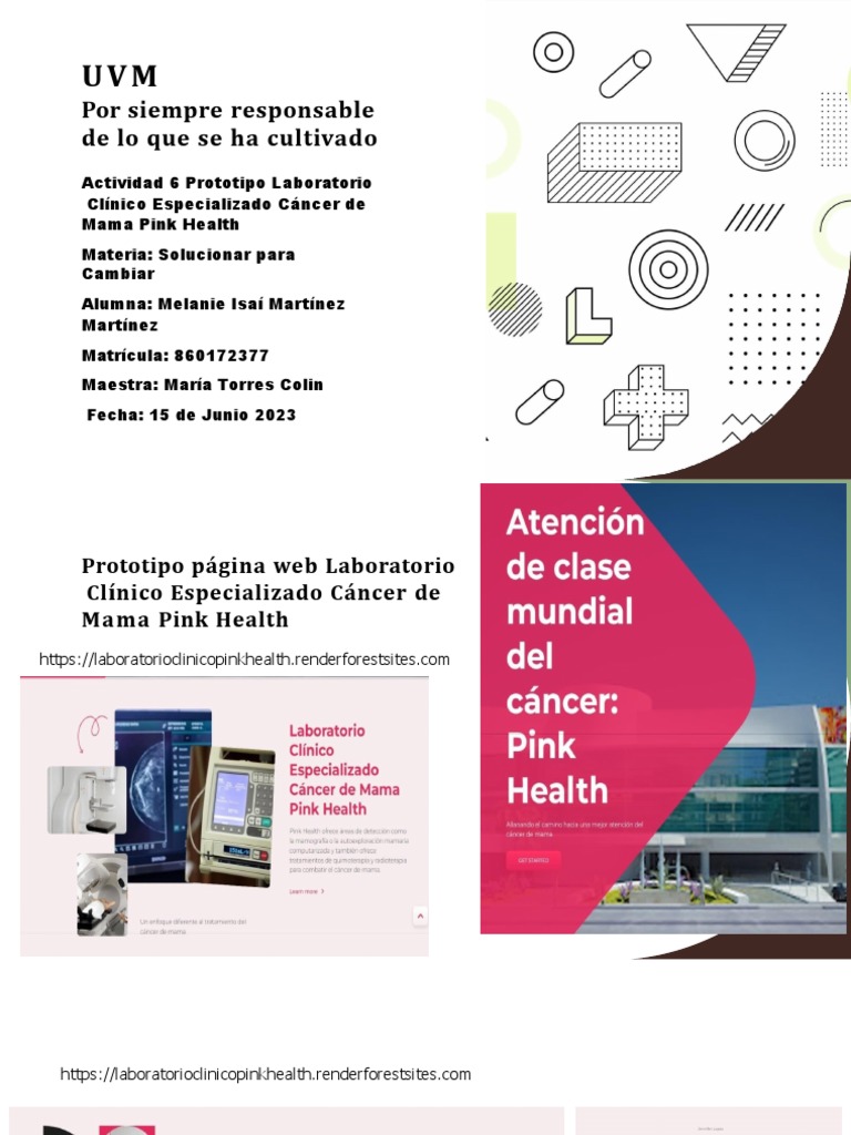 Actividad 6 Prototipo 1 Solucionar para Cambiar | PDF