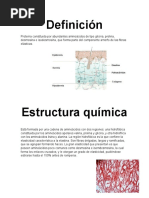 Estructura y función de la elastina | PDF | Colágeno | Bioquímica