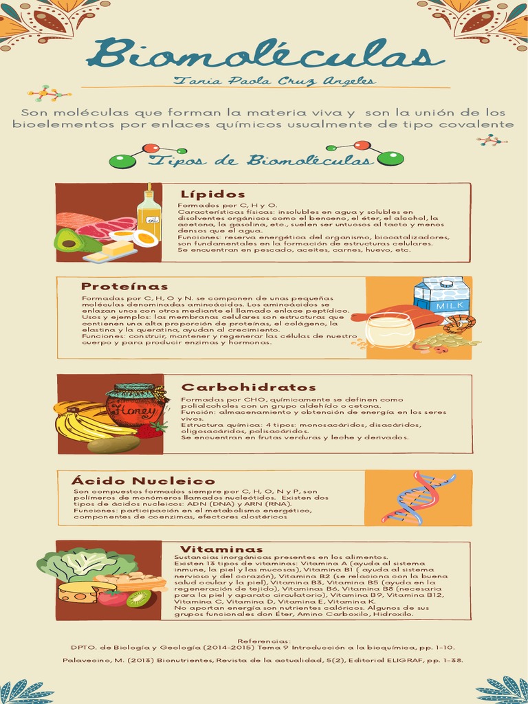 infografía Biomoleculas | PDF | Biomoléculas | Vitamina