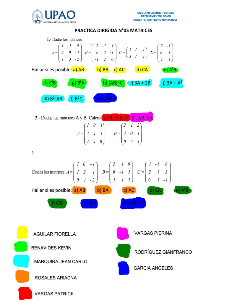 Divicion de La Practica N 05 Matrices | PDF