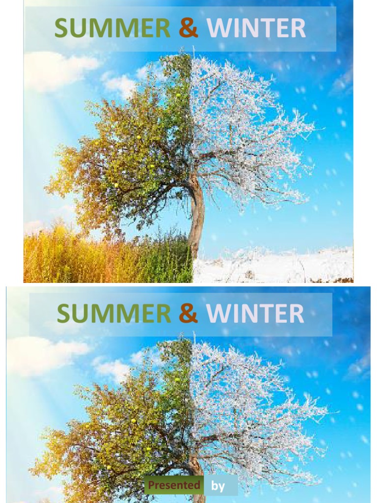 Summer and Winter | PDF