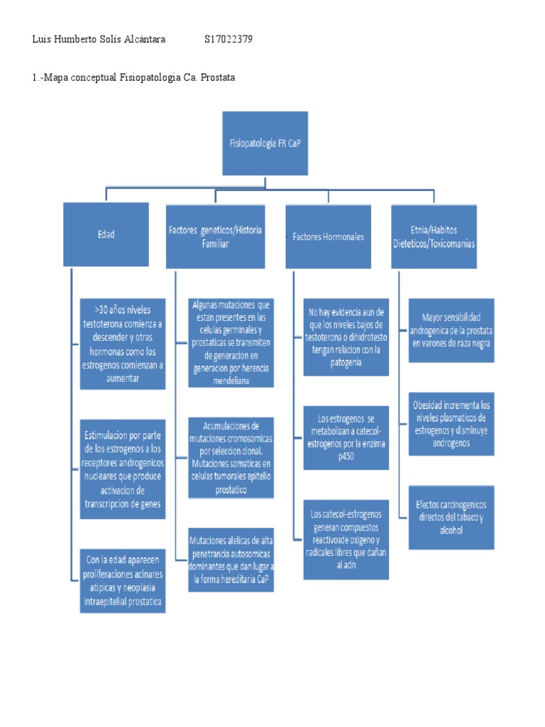ONCOLOGIA. TAREA. Ca de Próstata | PDF | Cancer de prostata | Antígeno específico de la próstata