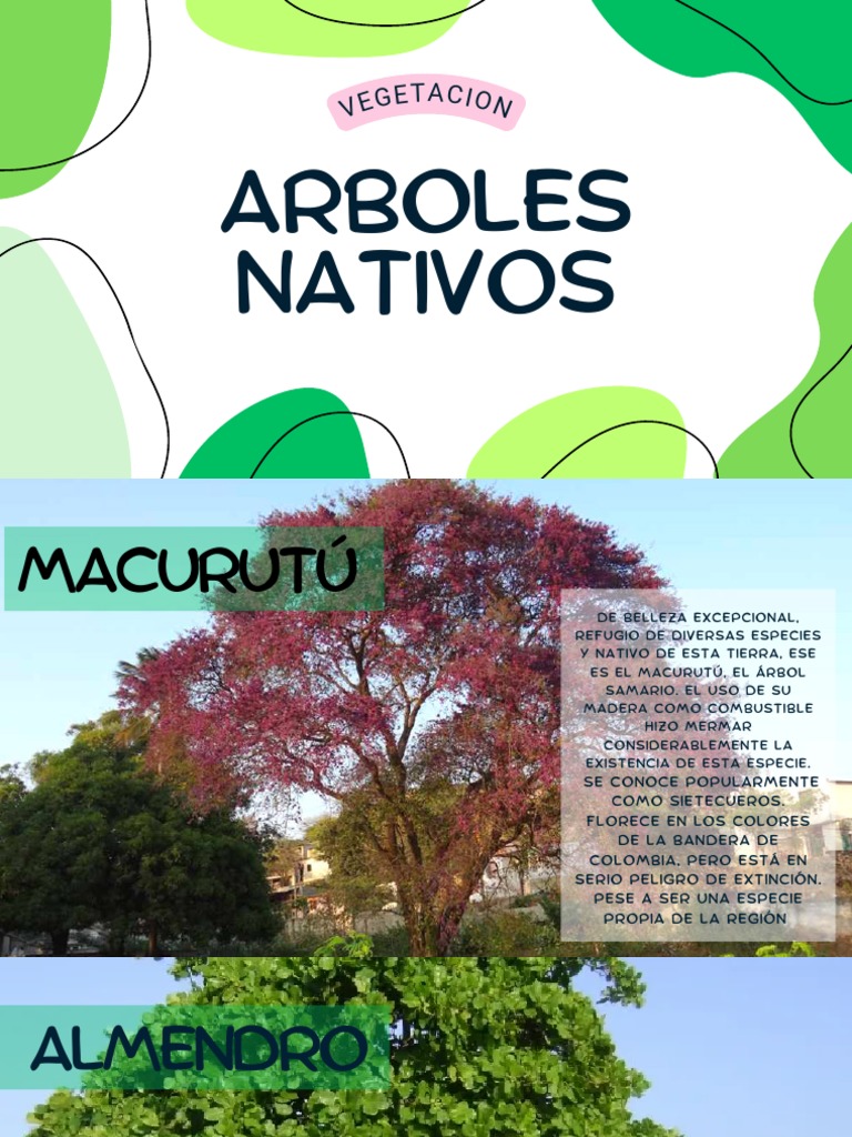 Árboles Nativos de Colombia: Especies Clave | PDF | Botánica | Plantas