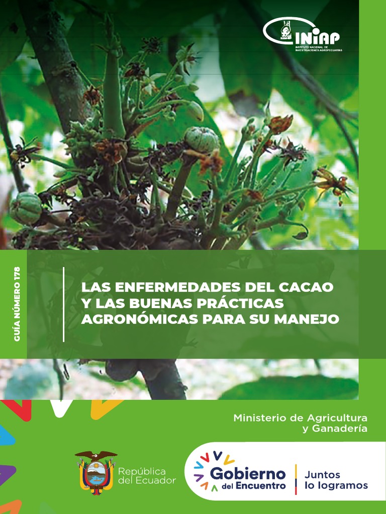 Iniapbeetp G178 | PDF